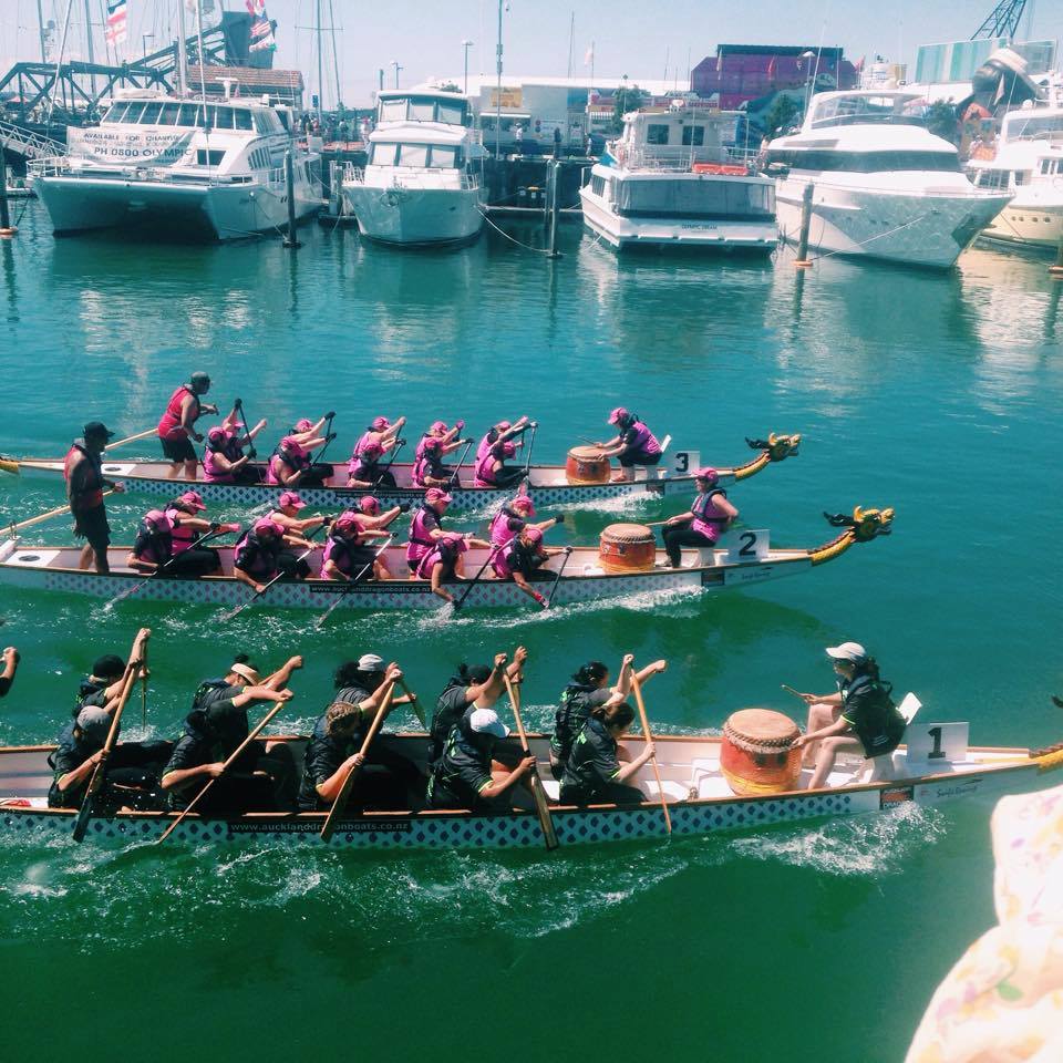 Home – Pink Dragons Breast Cancer Dragon Boat Team, Auckland, NZ