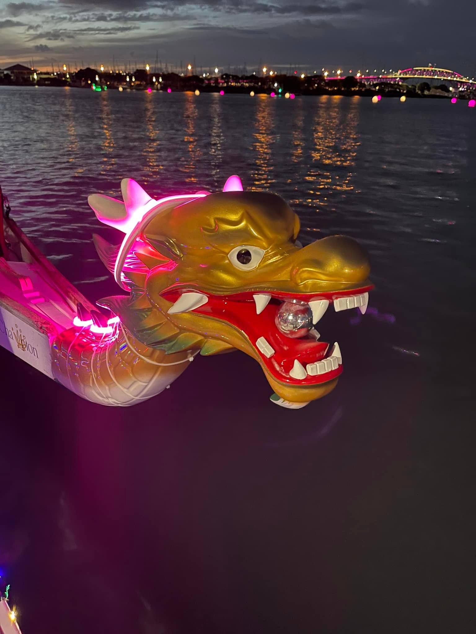 Pictures – Pink Dragons Breast Cancer Dragon Boat Team, Auckland, NZ